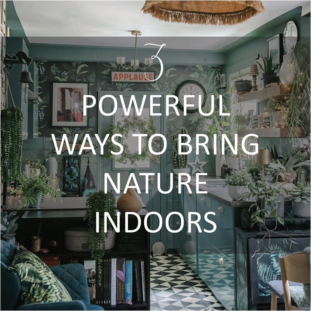 3 powerful ways to bring nature indoors